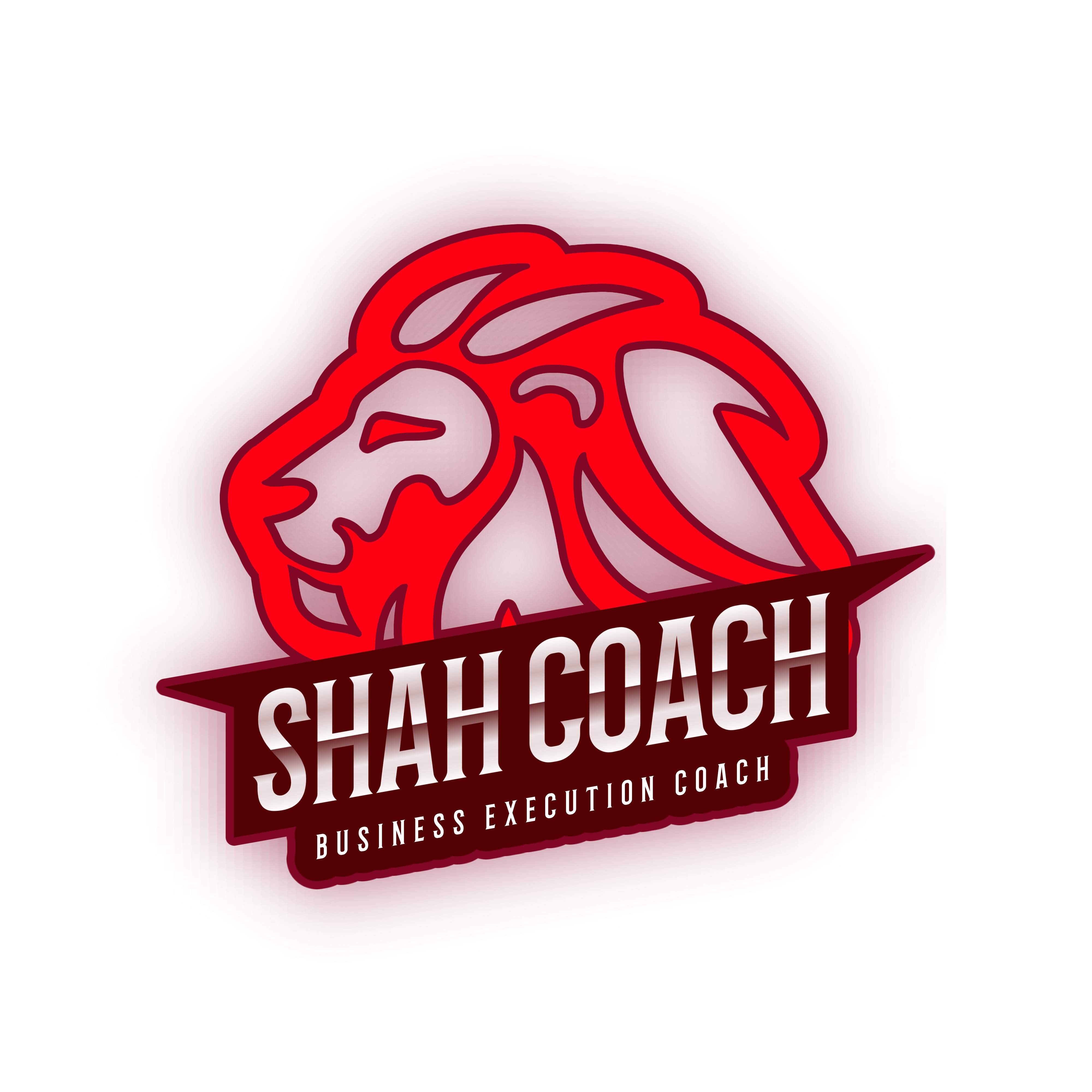 Shah Coach | Home